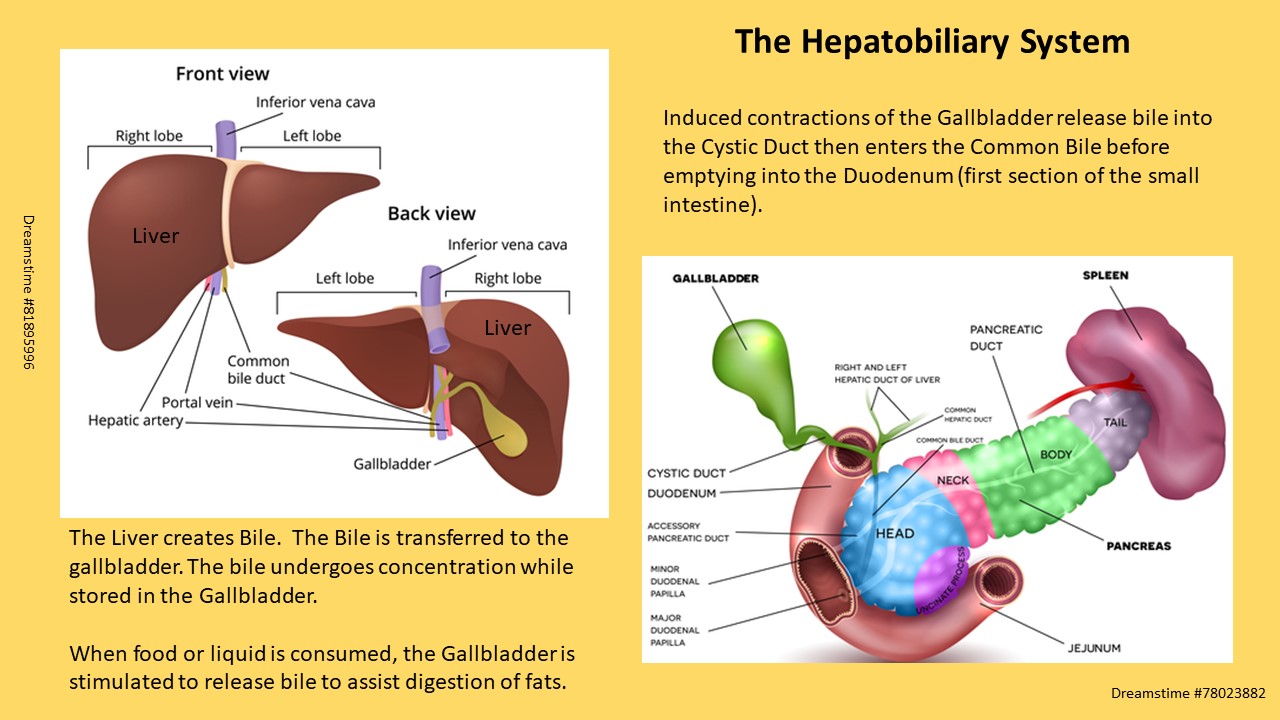 Gallbladder Disease and Endometriosis – Extrapelvic Not Rare